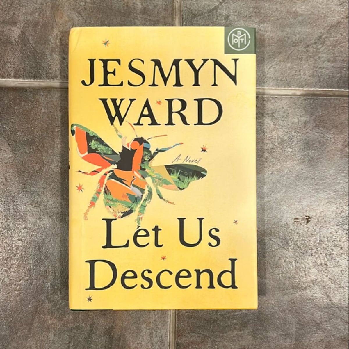 Let Us Descend by Jesmyn Ward