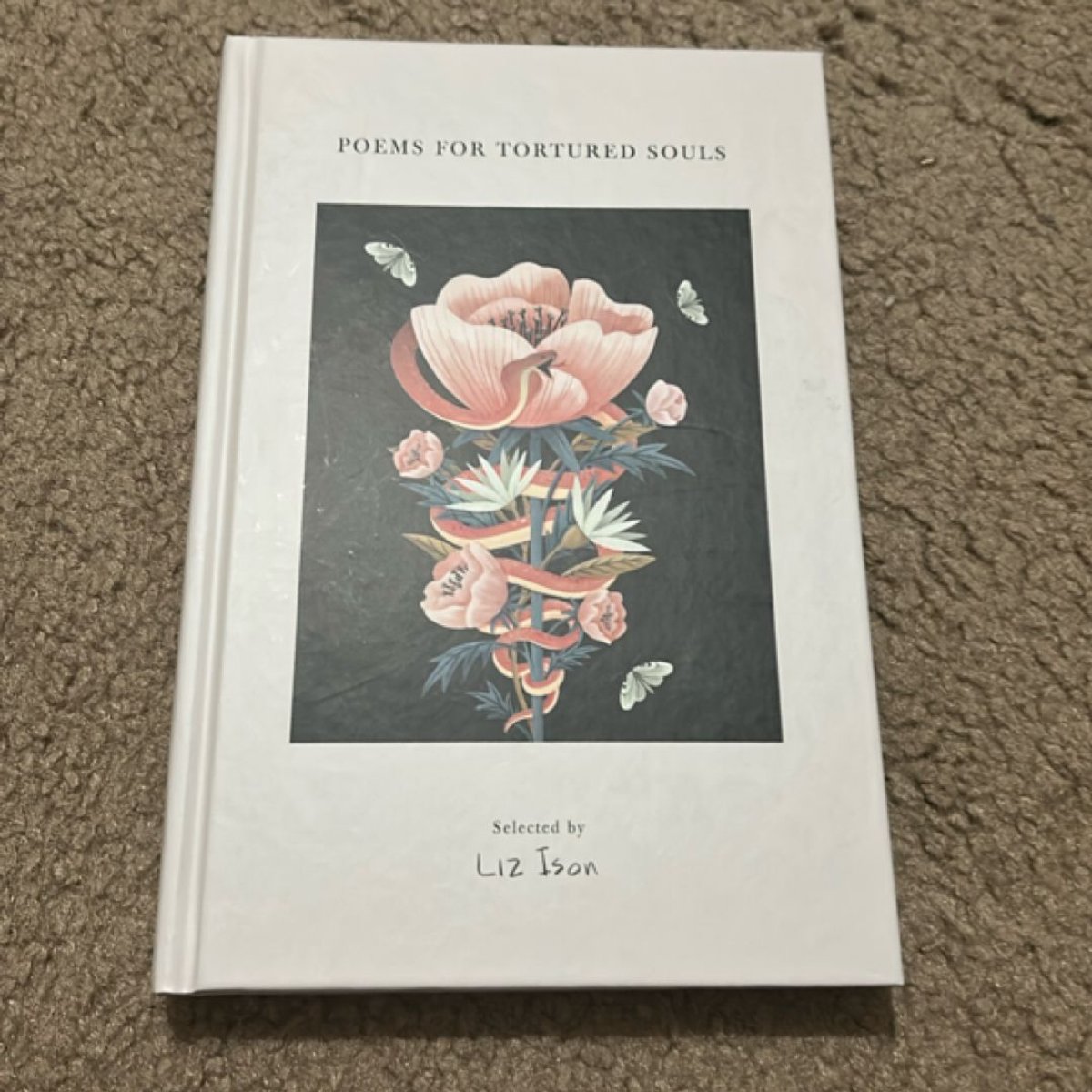 Poems for Tortured Souls by Liz Ison