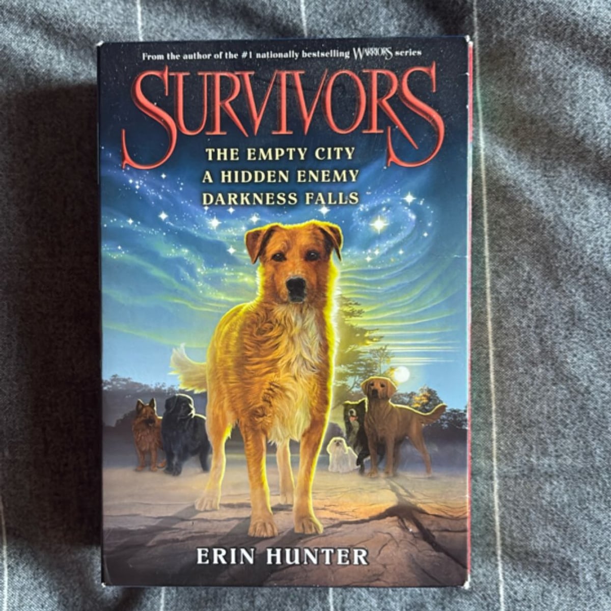 Survivors Box Set: Volumes 1 To 3 by Erin Hunter
