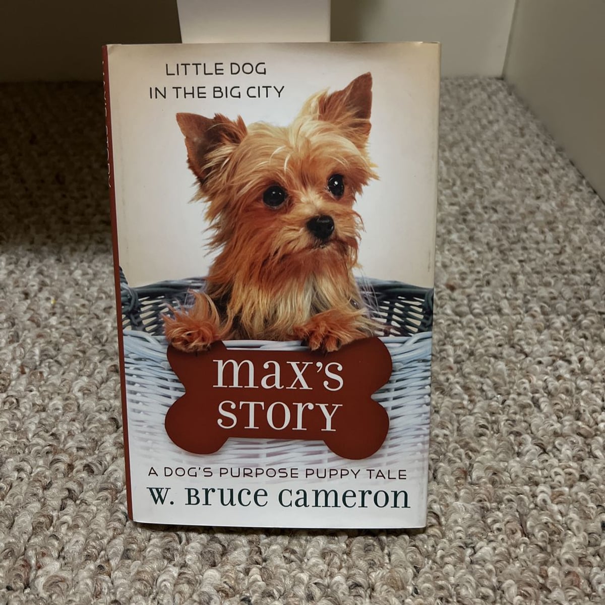 Max's Story