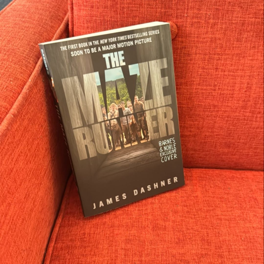 The Maze Runner by James Dashner, Paperback | Pangobooks