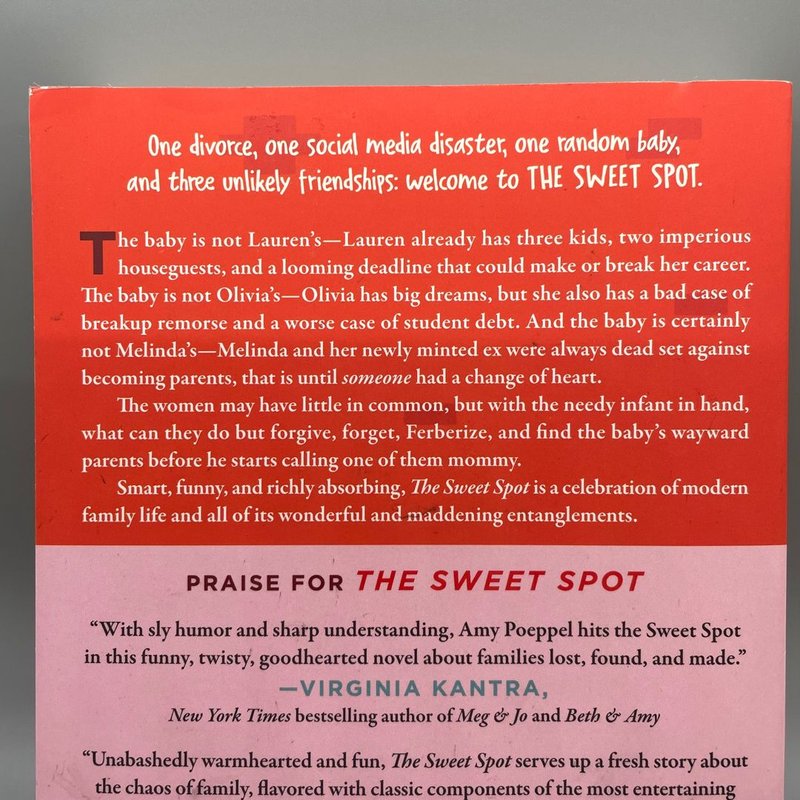 The Sweet Spot by Amy Poeppel, Paperback | Pangobooks