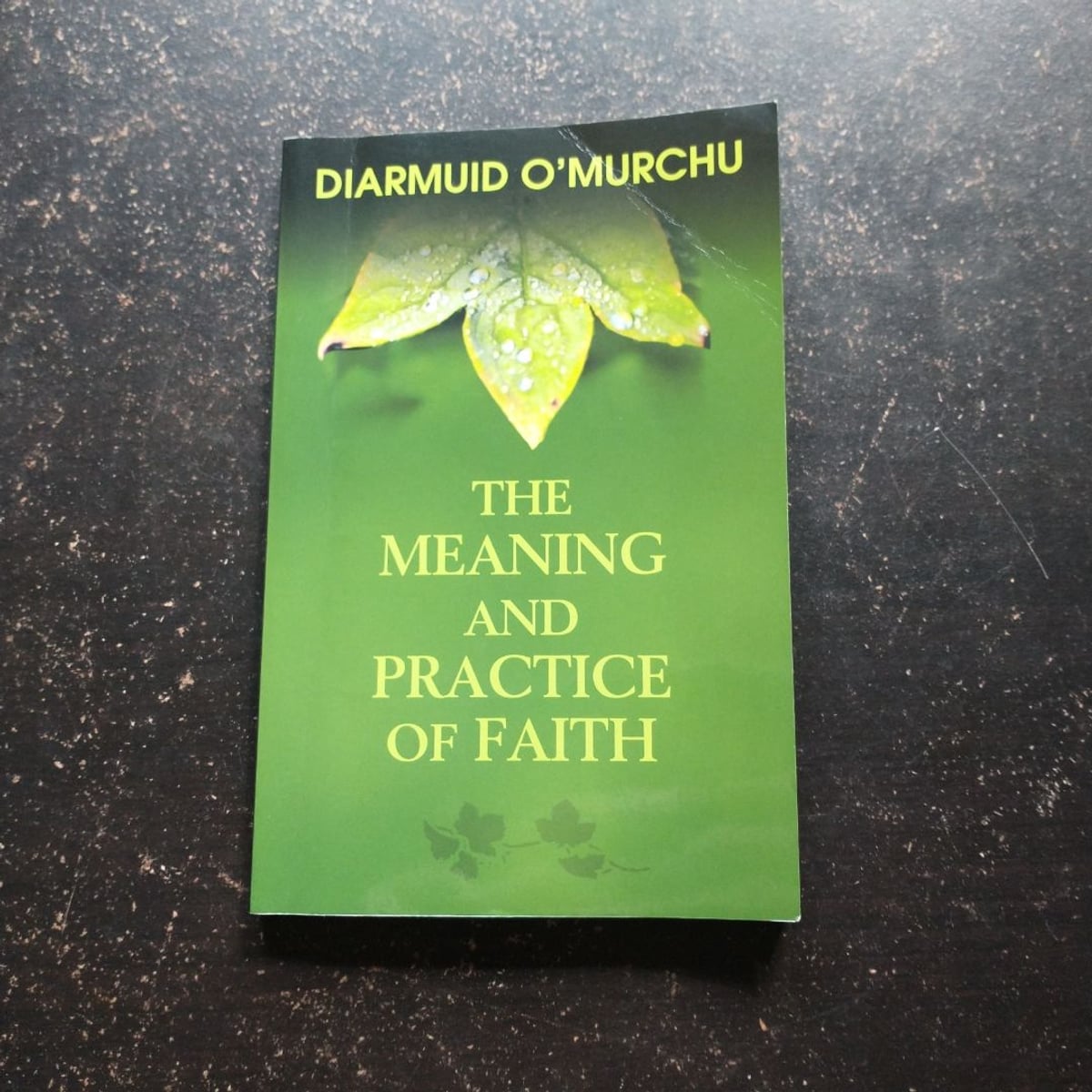 The Meaning and Practice of Faith by Diarmuid O'Murchu