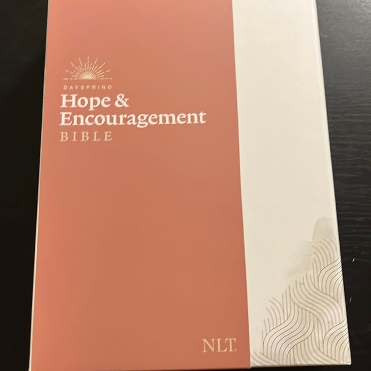 NLT DaySpring Hope and Encouragement Bible (Hardcover Deluxe, Seafoam ...