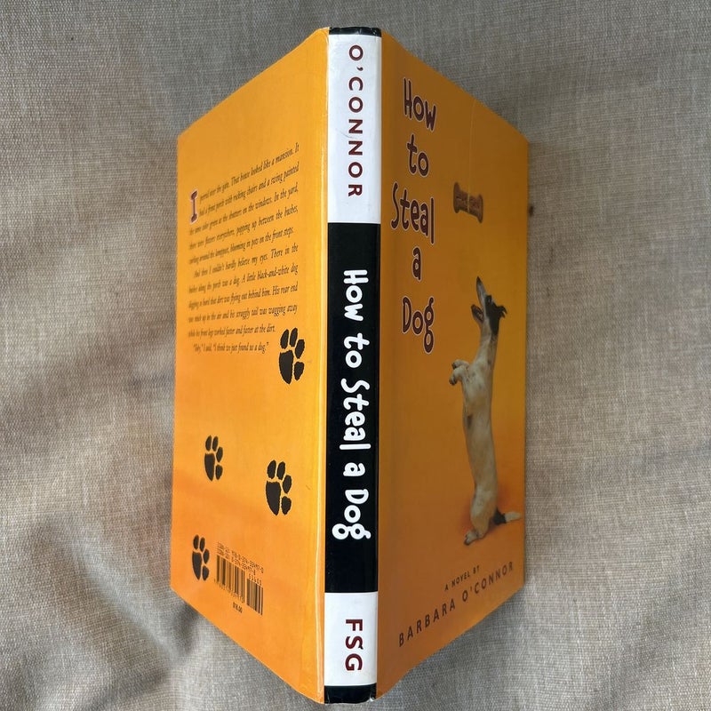 How to Steal a Dog by Barbara O'Connor, Hardcover | Pangobooks