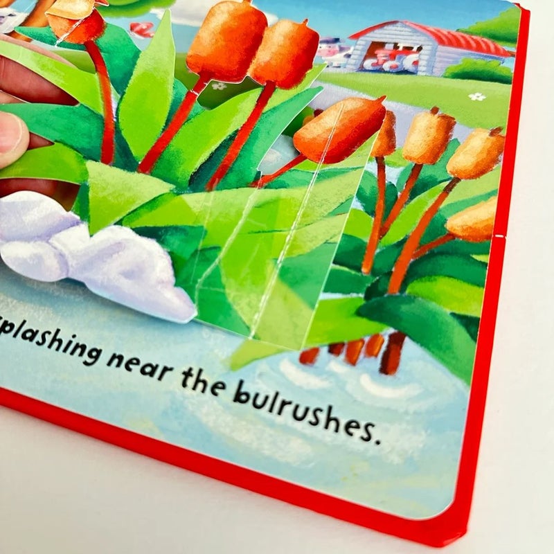 Peek a Boo! book bundle, 3 Books by Igloo Books, Hardcover | Pangobooks