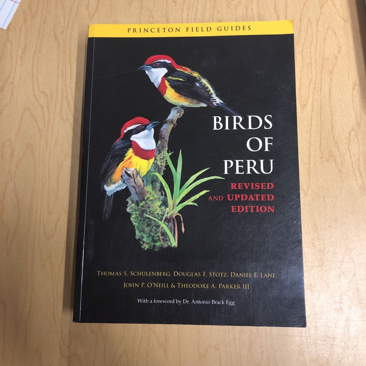 Birds of Peru by Thomas S. Schulenberg, Douglas F. Stotz, Daniel F ...