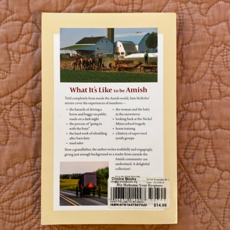 What It's Like to Be Amish by Sam S. Stoltzfus
