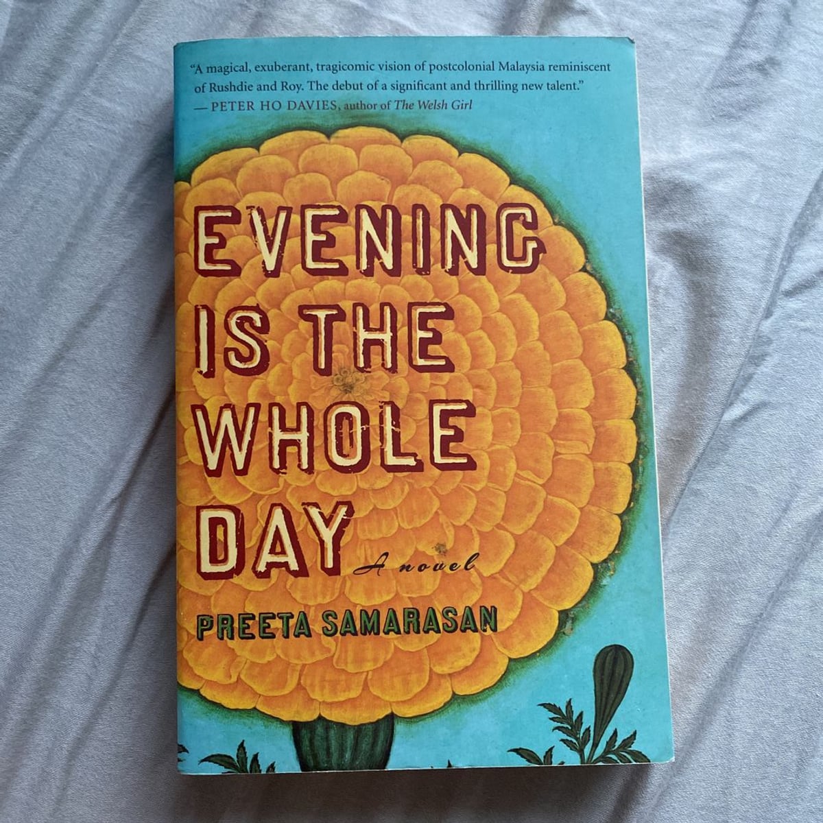 Evening Is the Whole Day by Preeta Samarasan
