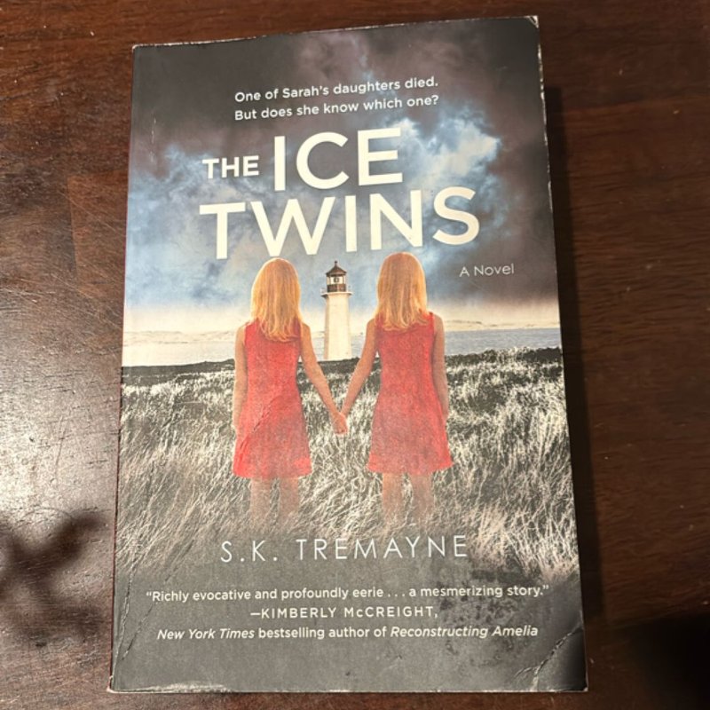 The Ice Twins by S. K. Tremayne, Paperback | Pangobooks