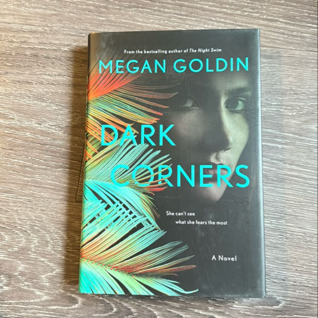 Dark Corners by Megan Goldin, Hardcover | Pangobooks