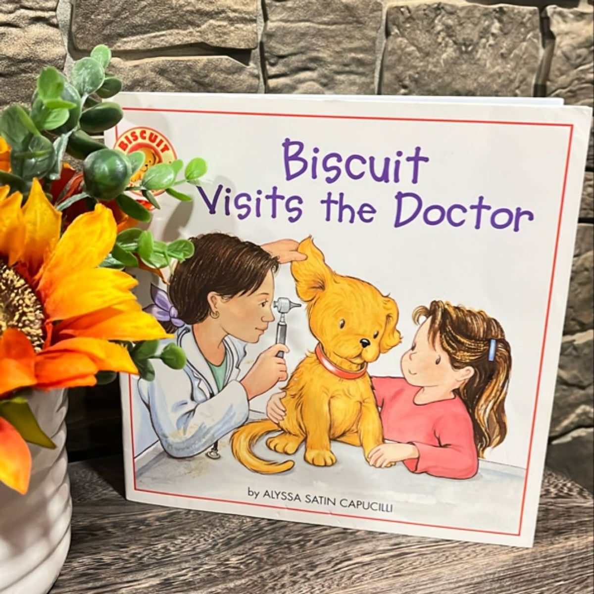 Biscuit Visits the Doctor by Alyssa Satin Capucilli