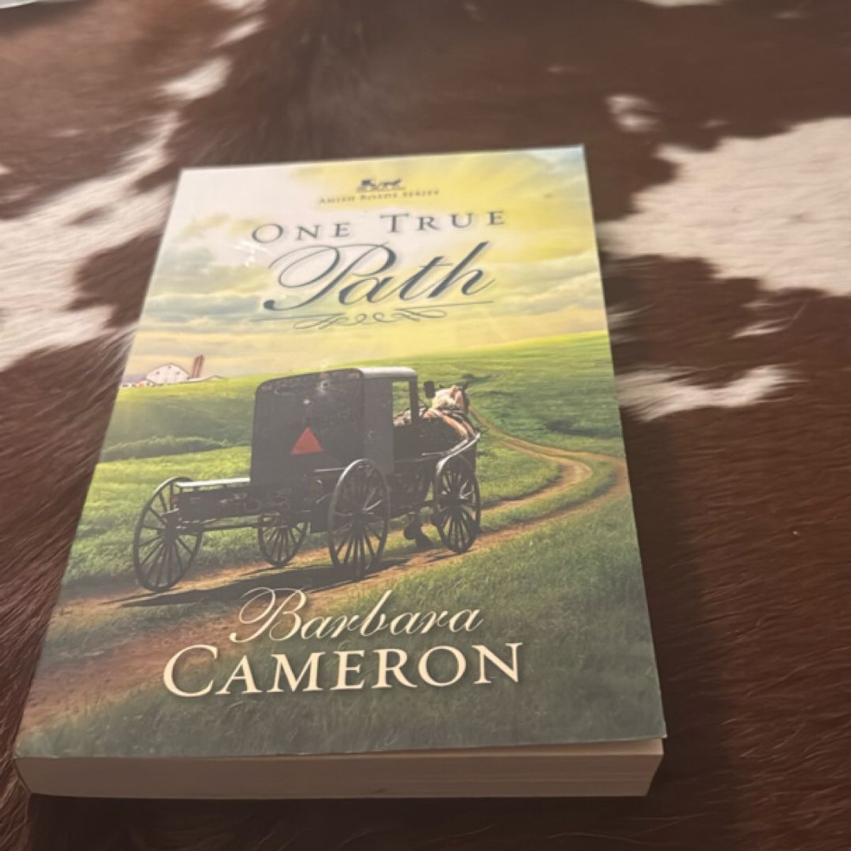 One True Path by Barbara Cameron