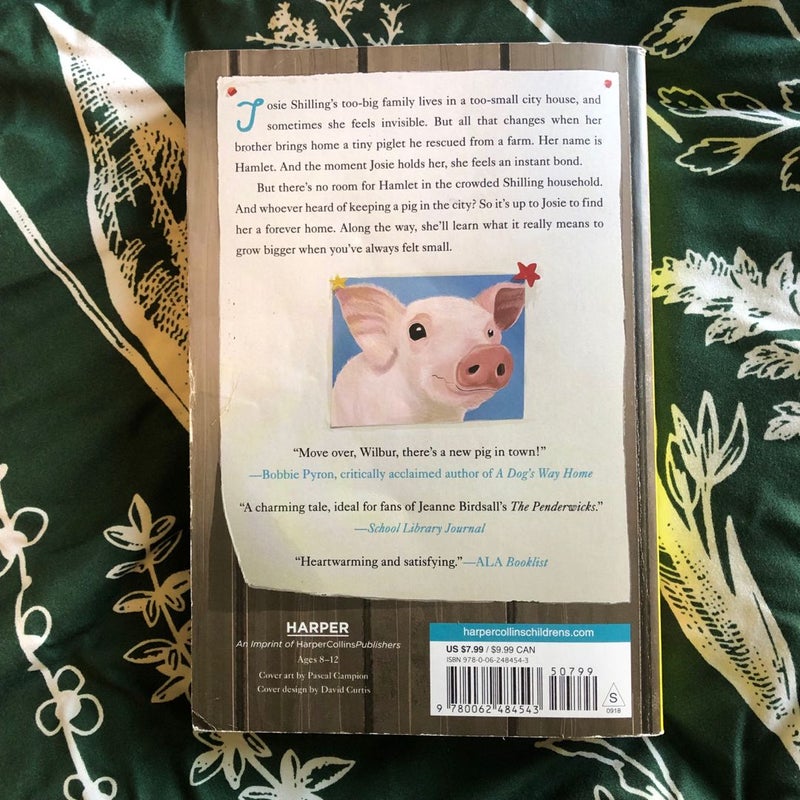 The Unlikely Story of a Pig in the City by Jodi Kendall