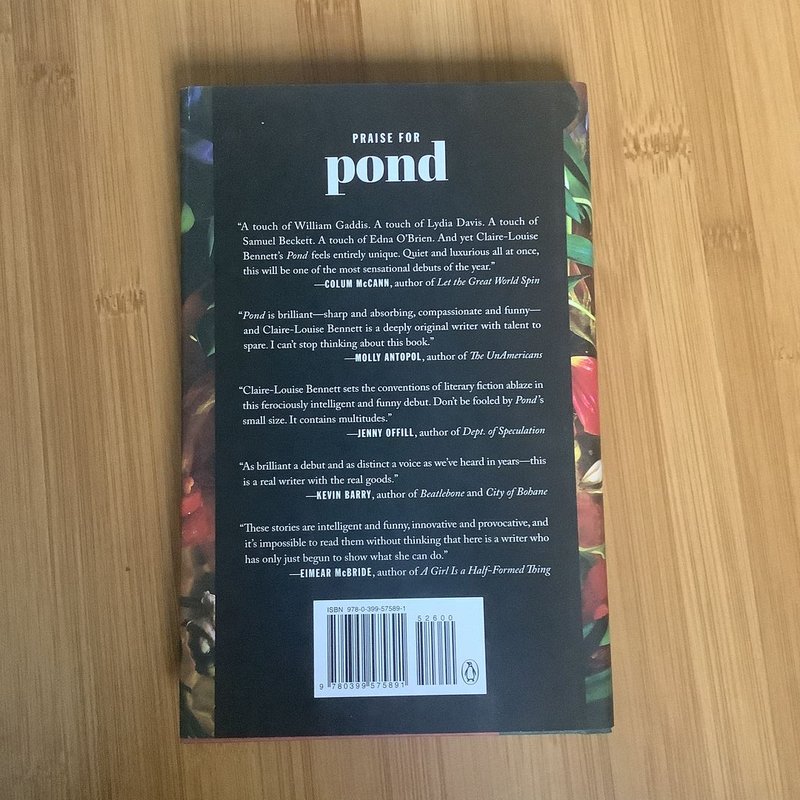Pond by Claire-Louise Bennett, Hardcover | Pangobooks