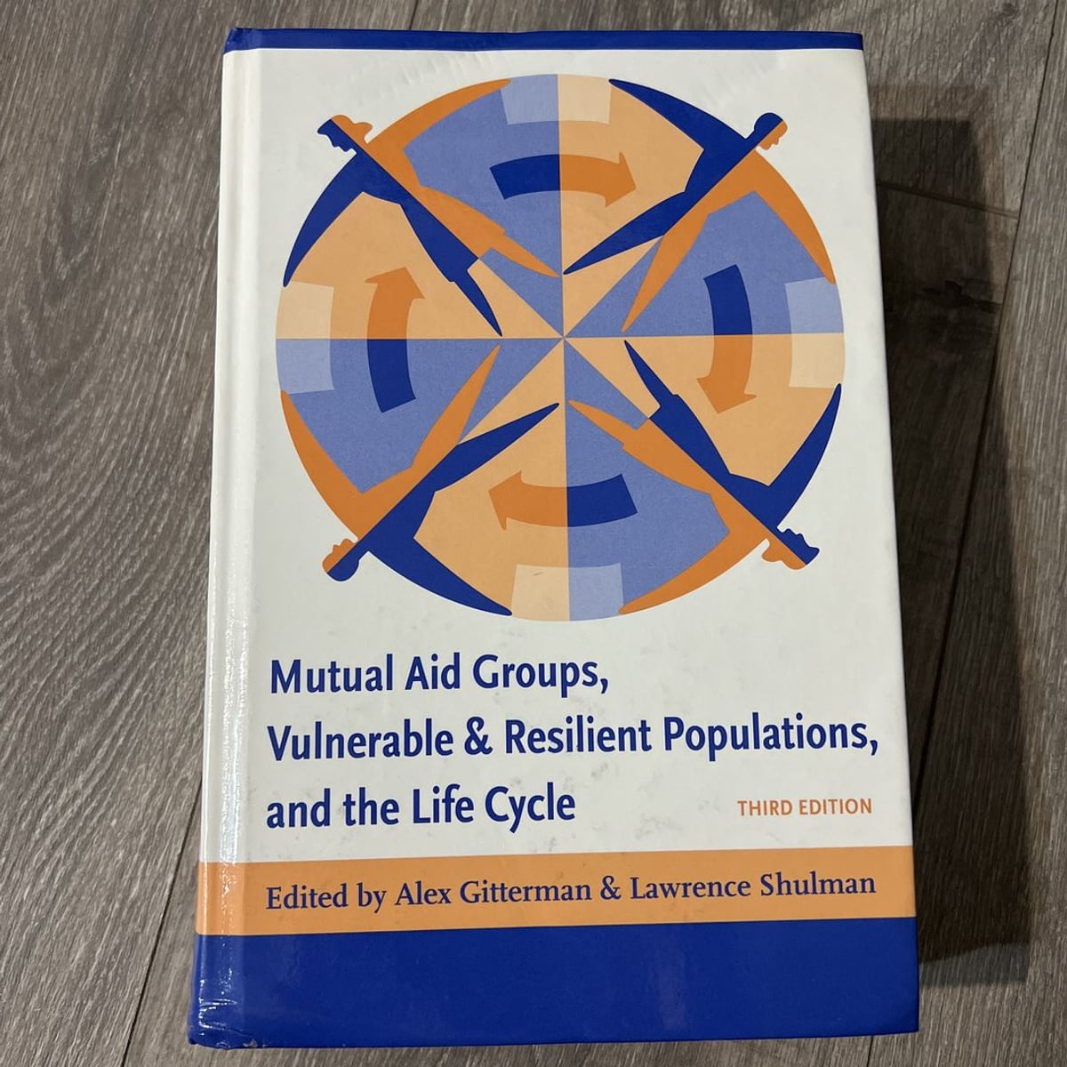Mutual Aid Groups, Vulnerable and Resilient Populations, and the Life ...