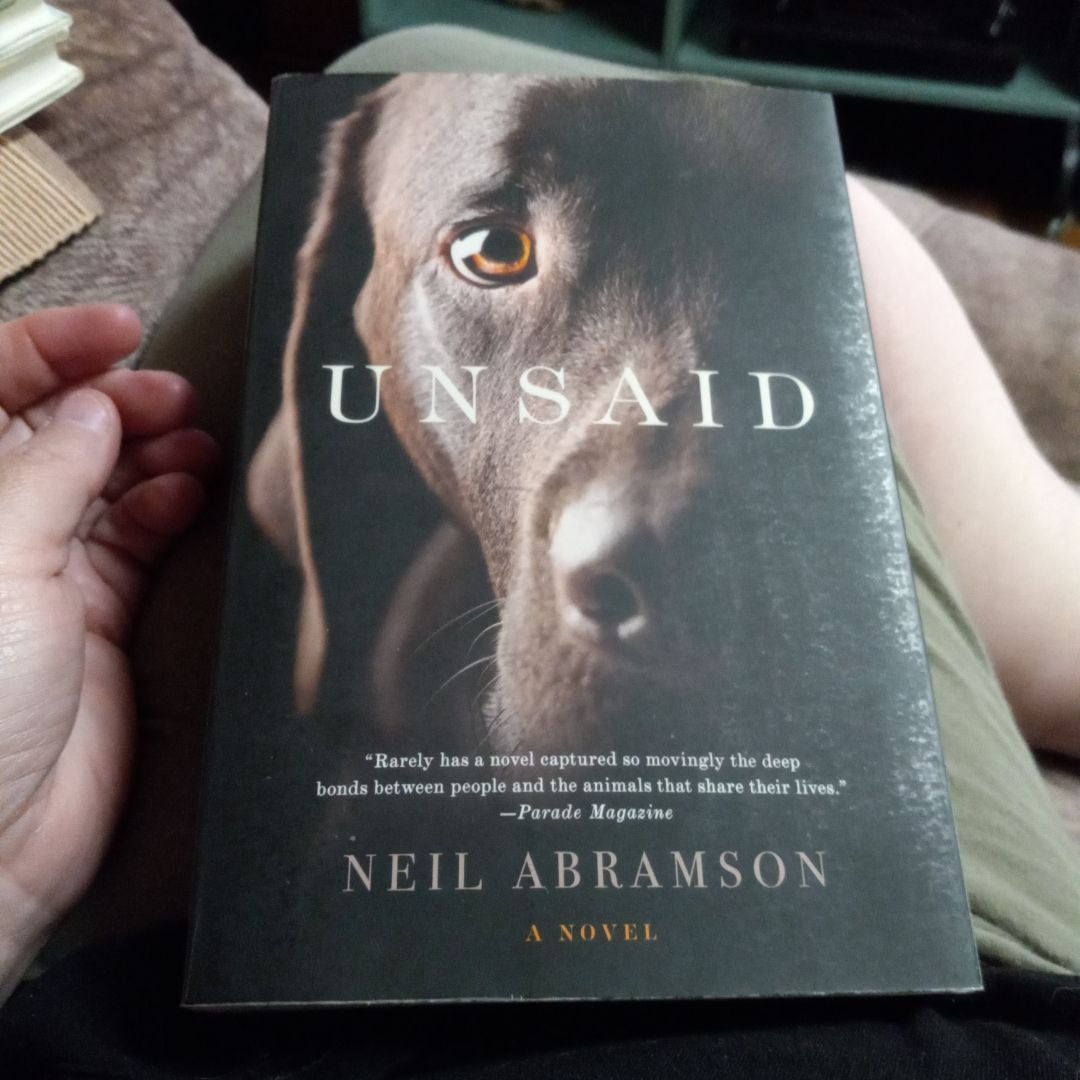 Unsaid by Neil Abramson, Paperback | Pangobooks