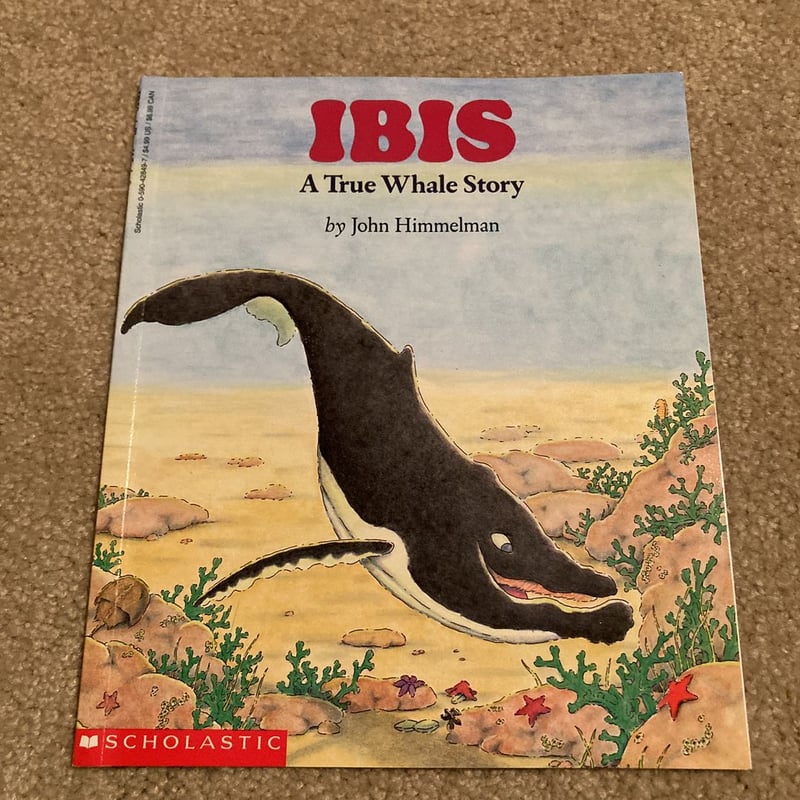 True Whale Story by John Himmelman, Paperback | Pangobooks