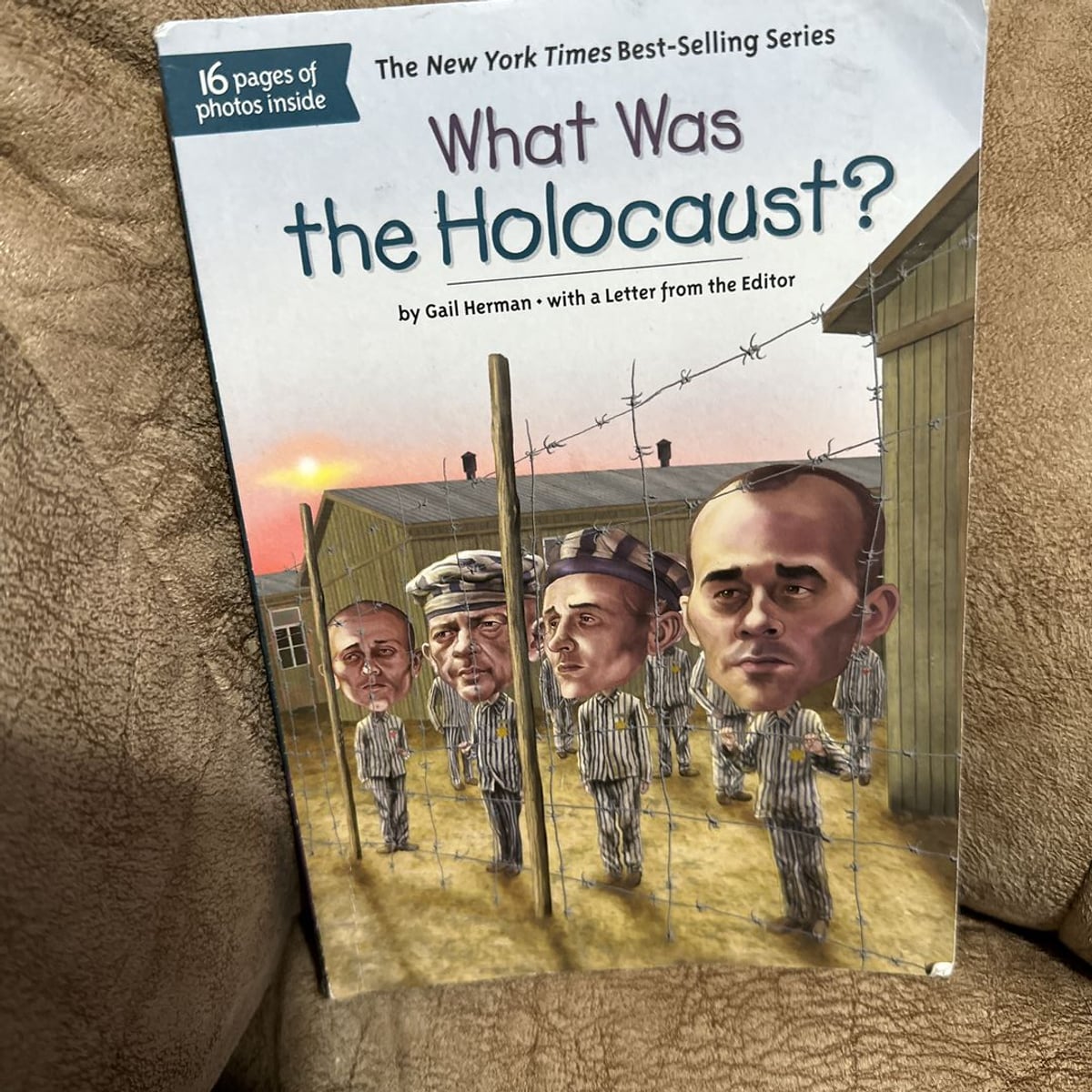 What Was the Holocaust? by Gail Herman, Who HQ