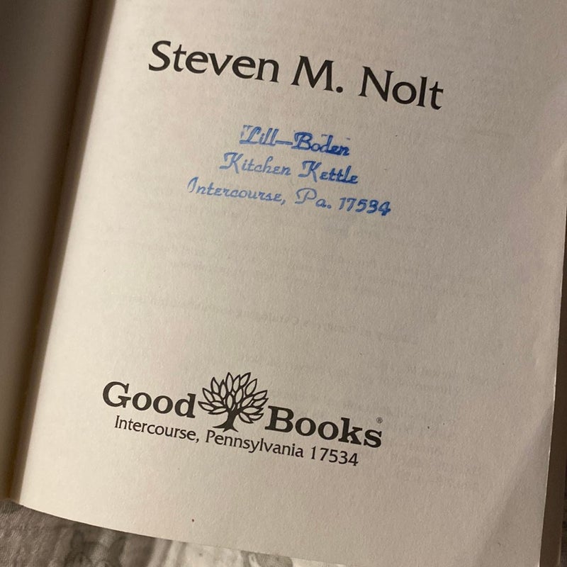 A History of the Amish by Steven M. Nolt , Paperback | Pangobooks