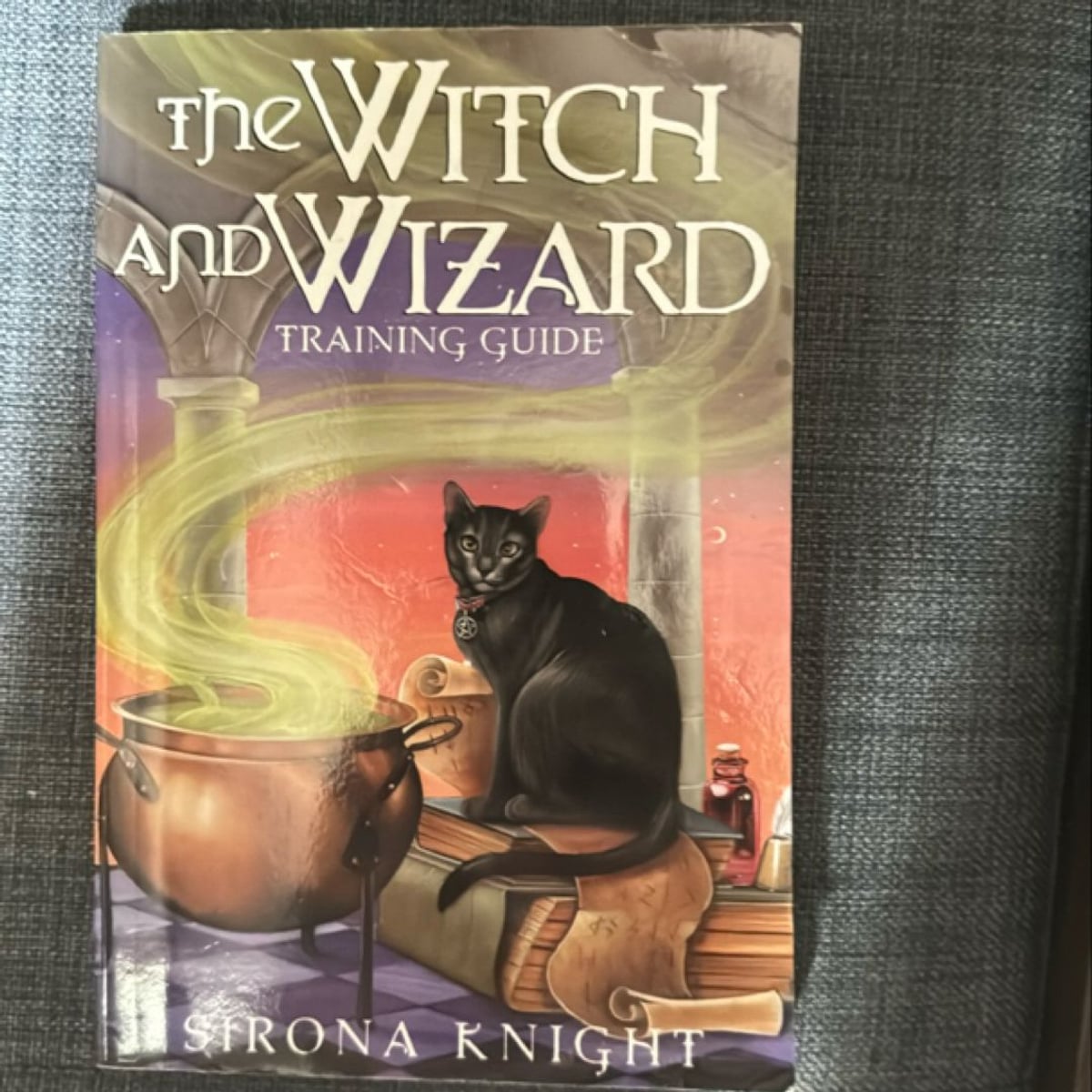 The Witch and Wizard Training Guide by Sirona Knight