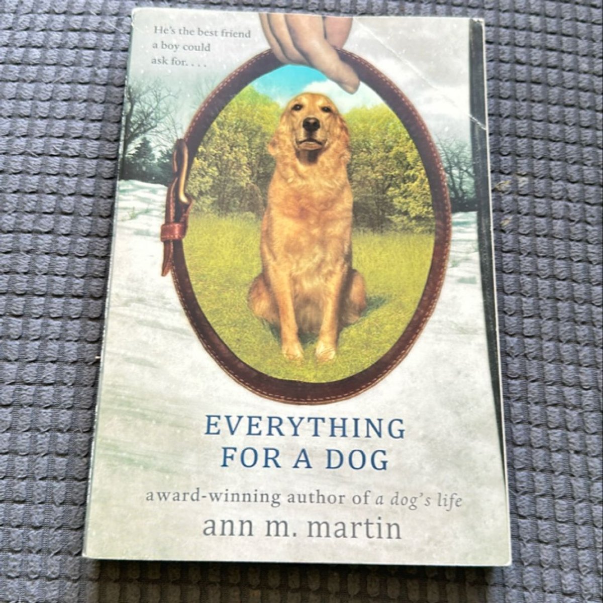 Everything for a Dog by Ann M. Martin