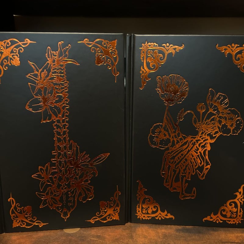 Stalking Jack the Ripper by Kerri Maniscalco, Hardcover | Pangobooks