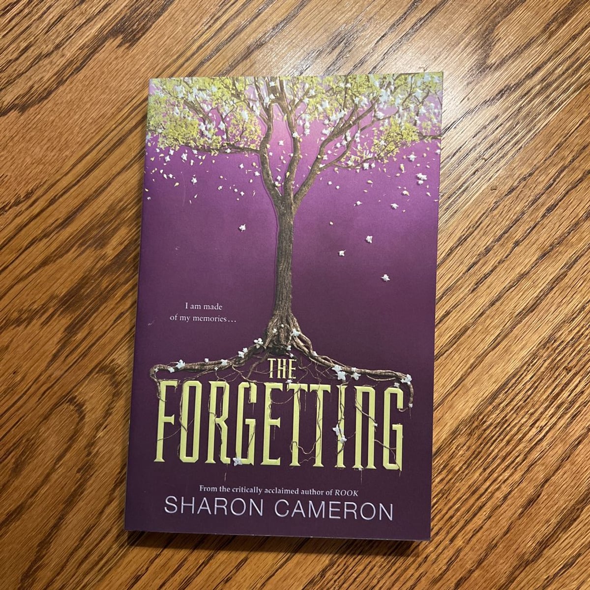 The Forgetting Book Summary , The Forgetting by Sharon Cameron – MFTZTR