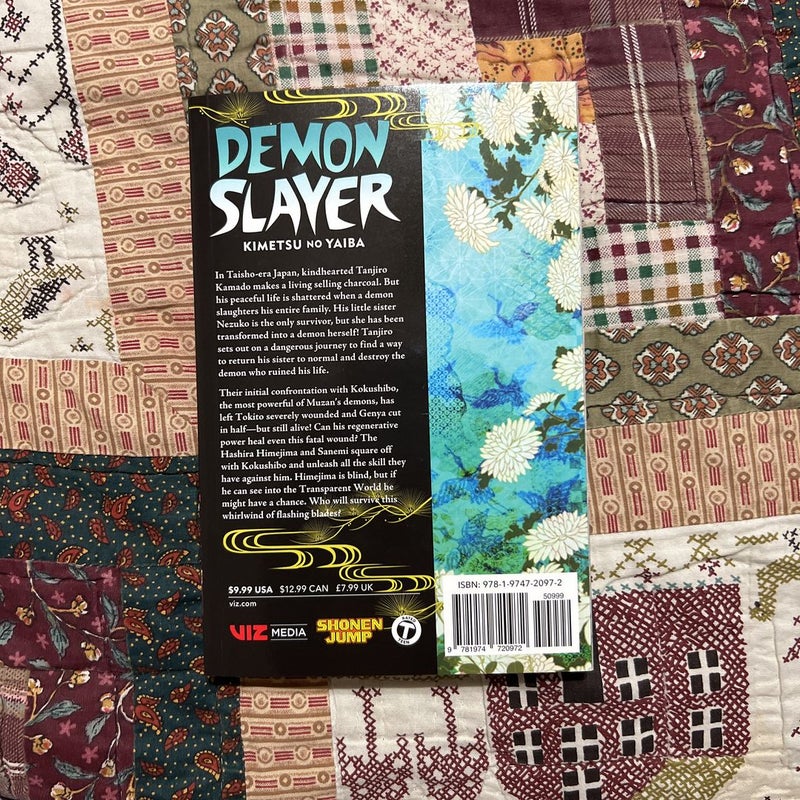 Demon Slayer: Kimetsu No Yaiba, Vol. 20