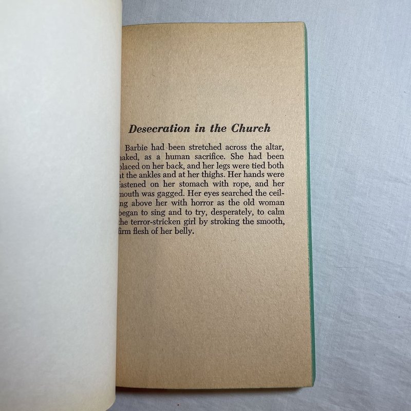 The Devil & Ben Camden by Heinrich Graat, Paperback | Pangobooks