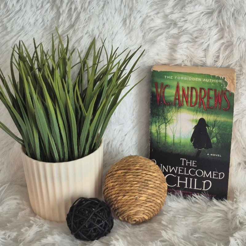 The Unwelcomed Child by V.C. Andrews, Paperback | Pangobooks