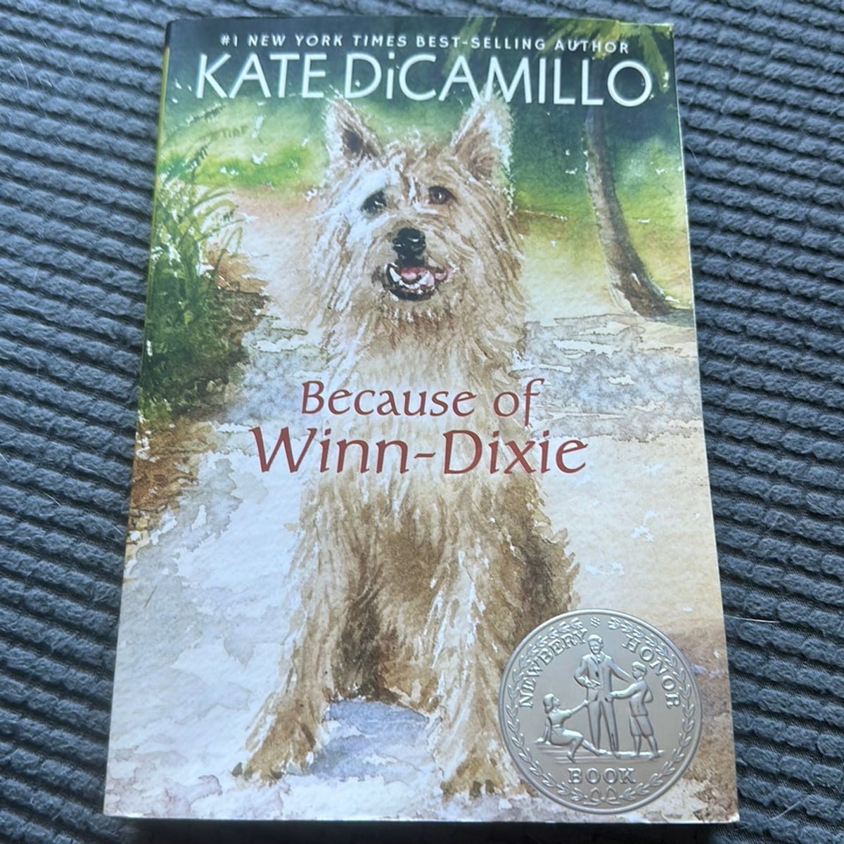 Because of Winn-Dixie by Kate DiCamillo