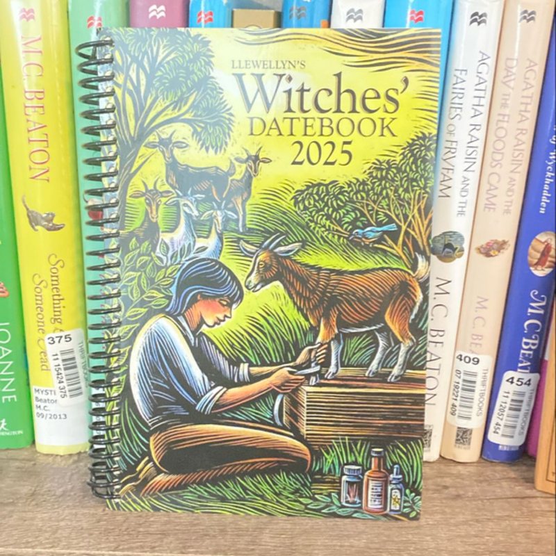 Llewellyn's 2025 Witches' Datebook by Llewellyn, Ivo Dominguez, Via Hedera