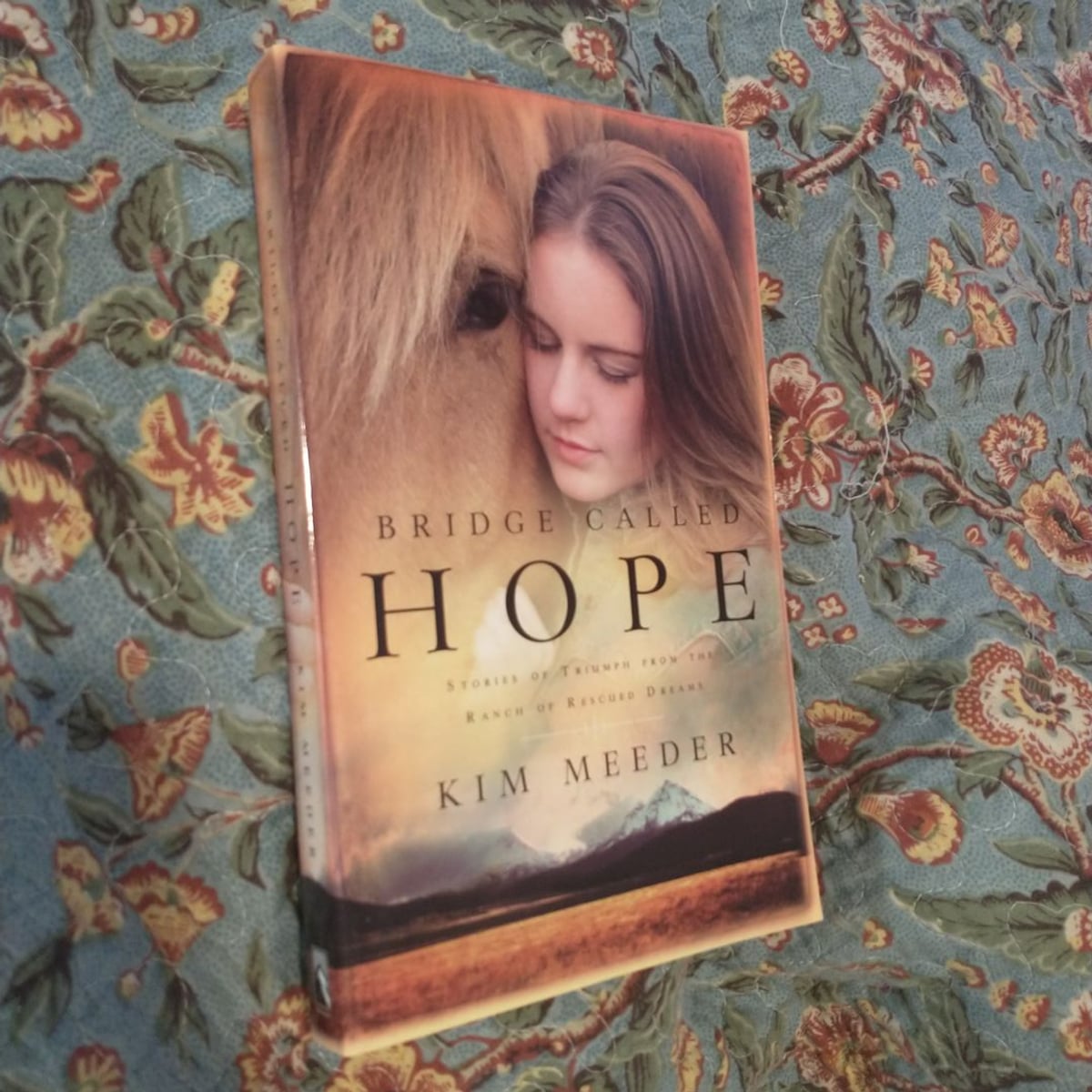 Bridge Called Hope by Kim Meeder