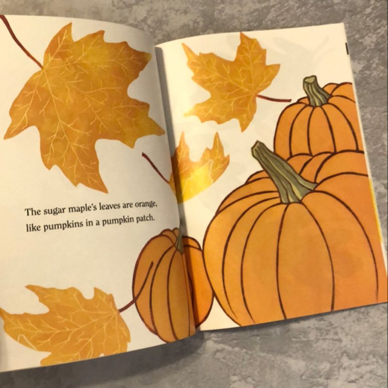 Leaf Jumpers by Carole Gerber, Paperback | Pangobooks