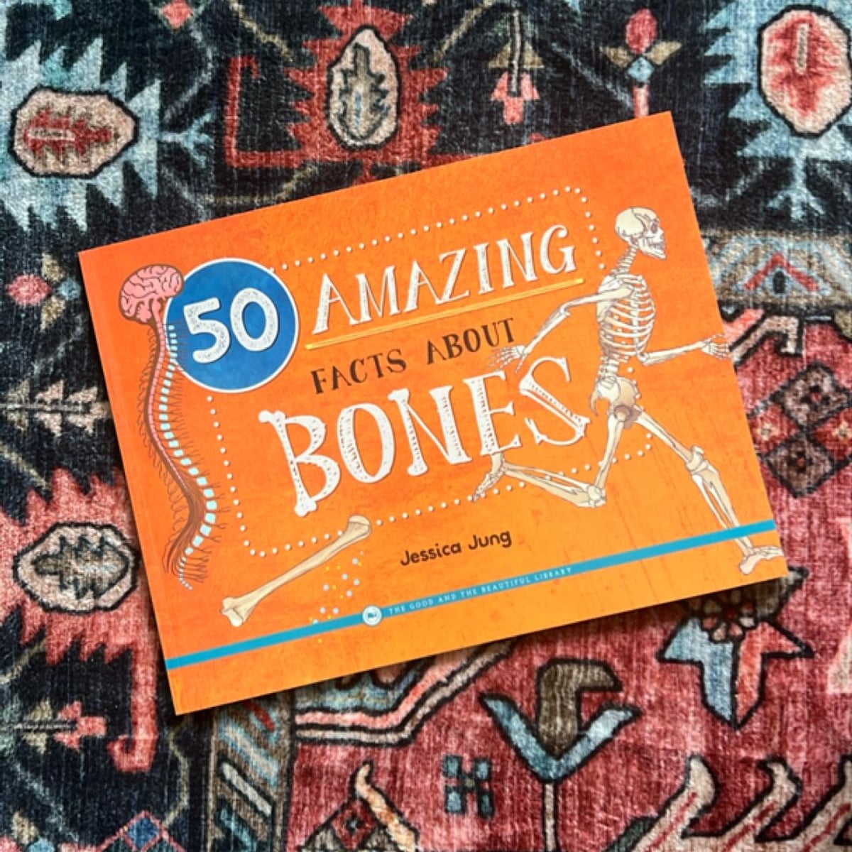 Fifty Amazing Facts about Bones by Jenny Phillips, Jessica Jung