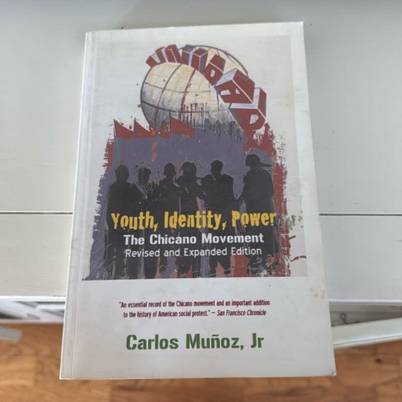 Youth, Identity, Power by Carlos Munoz, Carlos Munoz
