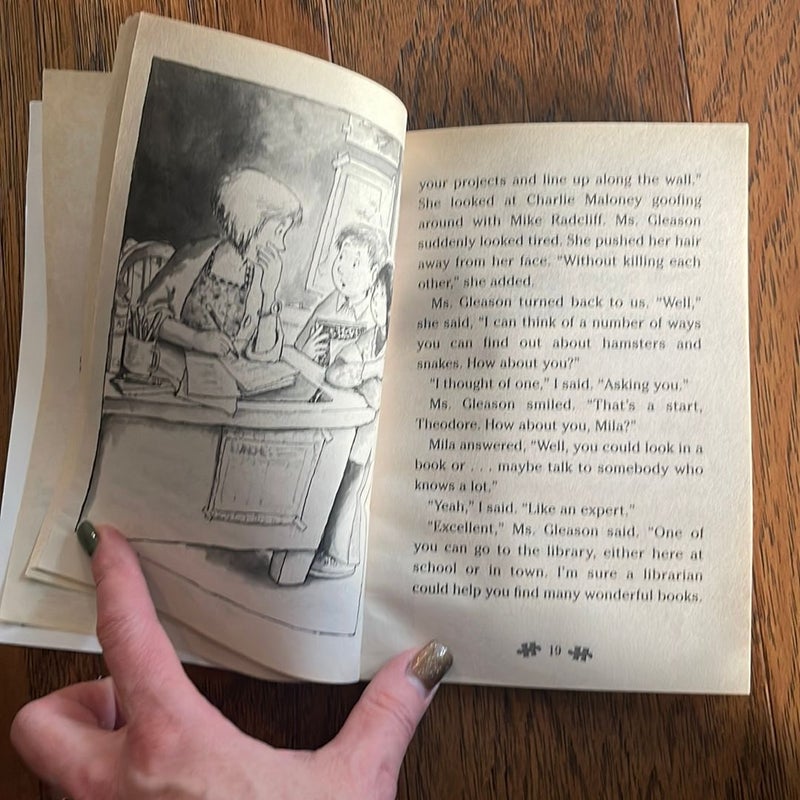 The Case of Hermie the Missing Hamster by James Preller