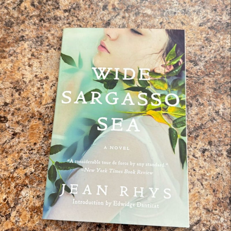 Wide Sargasso Sea by Jean Rhys; Edwidge Danticat, Paperback | Pangobooks