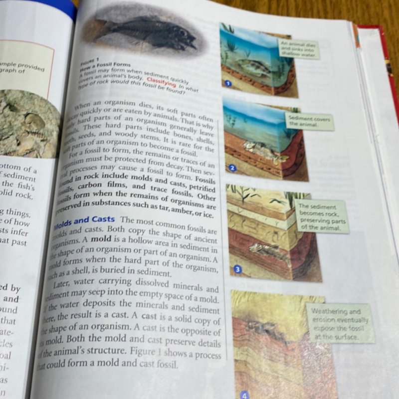 Prentice Hall Science Explorer - Earth's Changing Surface by Prentice ...