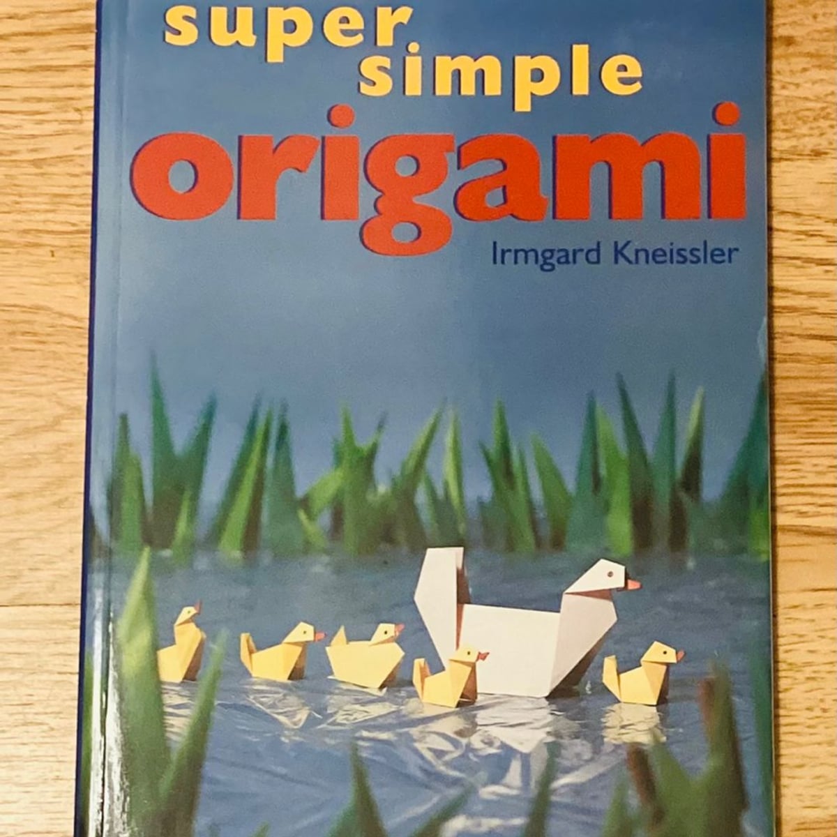 Super Simple Origami by Irmgard Kneissler