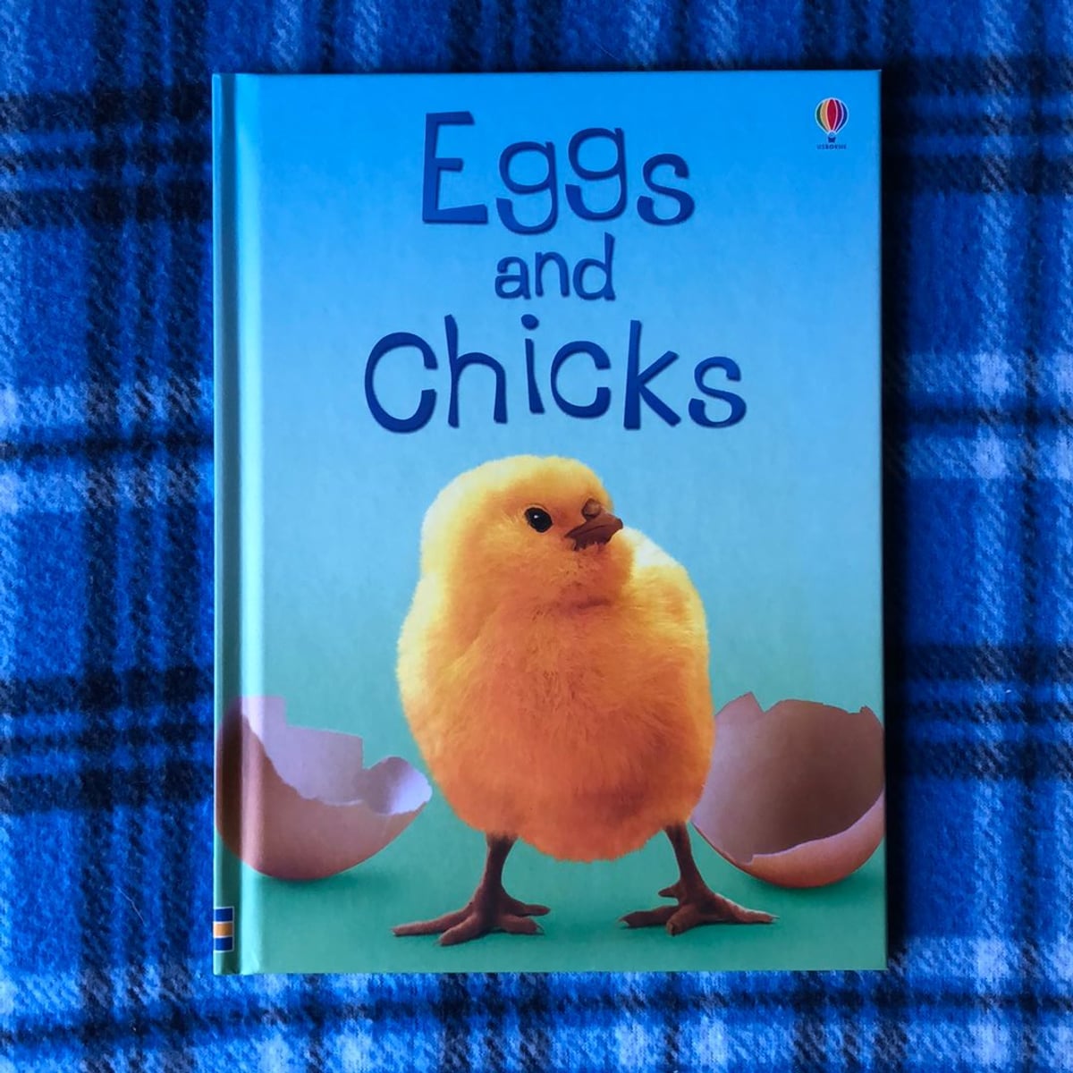 Eggs and Chicks by Fiona Patchett, Josephine Thompson, Nicola Butler