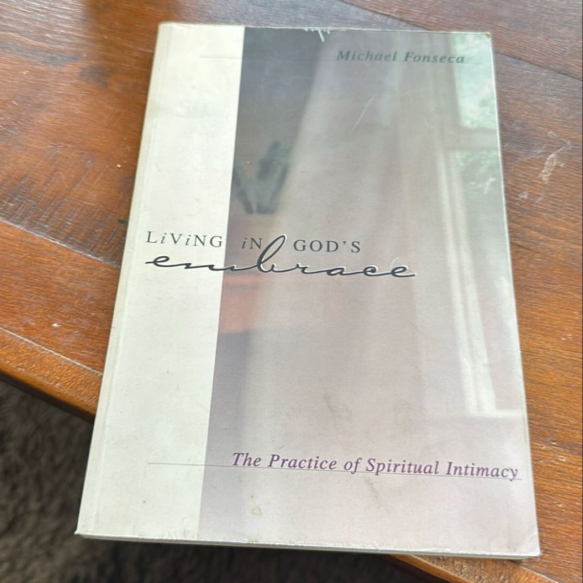 Living in God's Embrace by Michael Fonseca