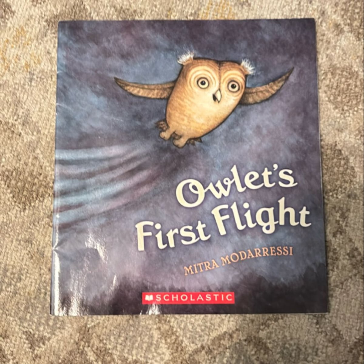 Owlet’s First Flight by Mitra Modarressi , Paperback | Pangobooks
