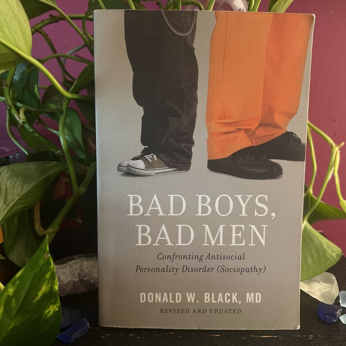Bad Boys, Bad Men by Donald W. Black