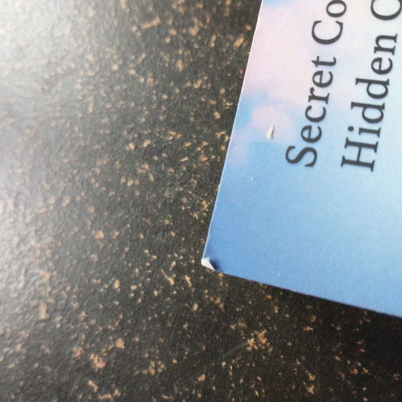 Mystery in Rocky Mountain National Park by Anne Zimanski