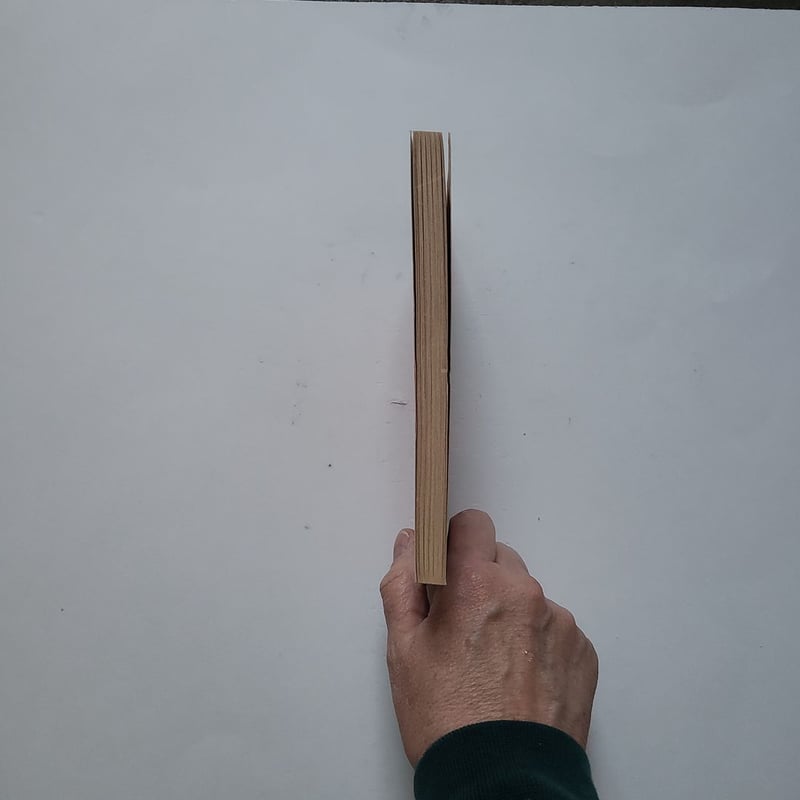 Rumble Fish by S. E. Hinton