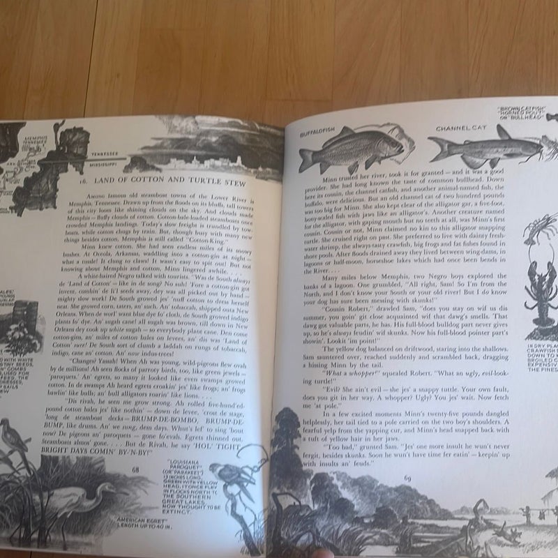 Minn of the Mississippi by Holling C. Holling