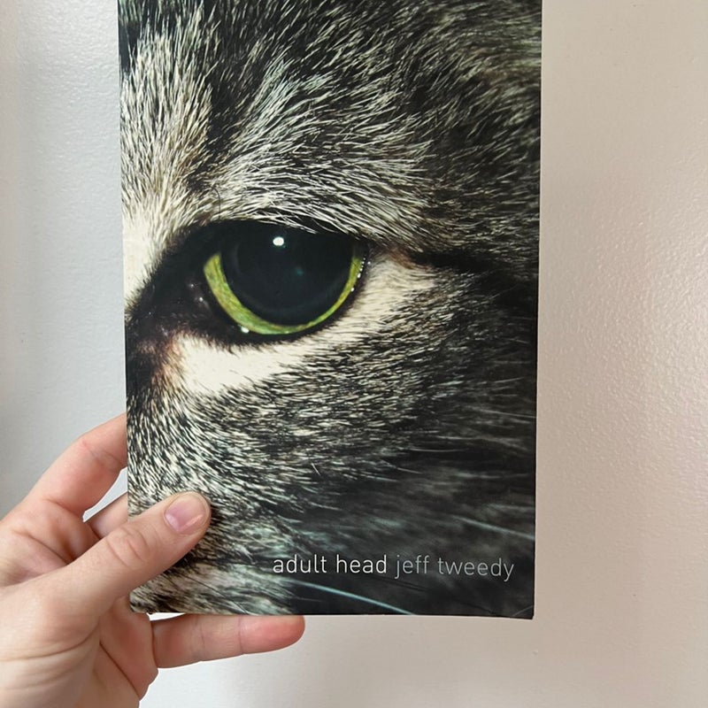Adult Head by Jeff Tweedy, Paperback | Pangobooks