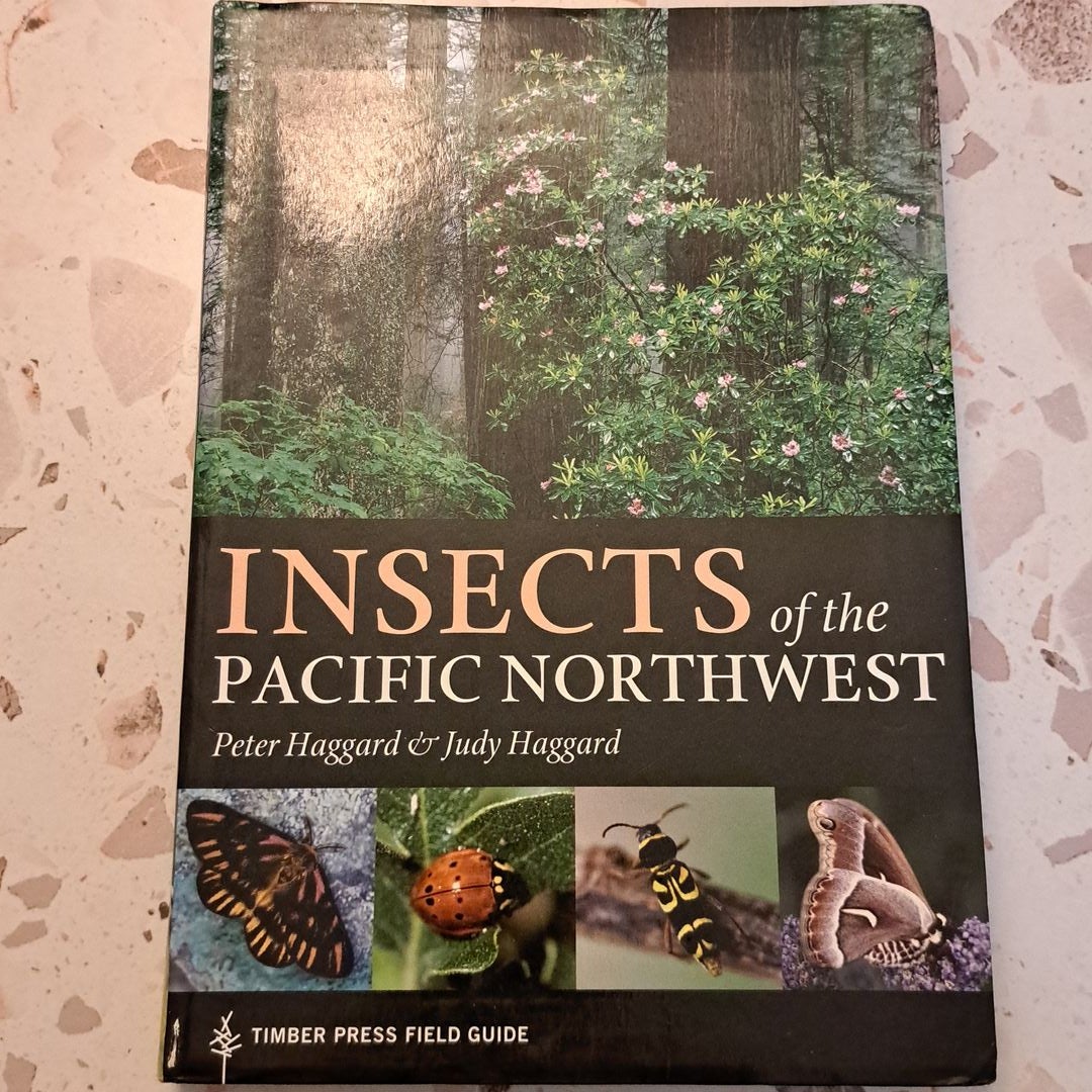 Insects of the Pacific Northwest by Peter Haggard, Judy Haggard